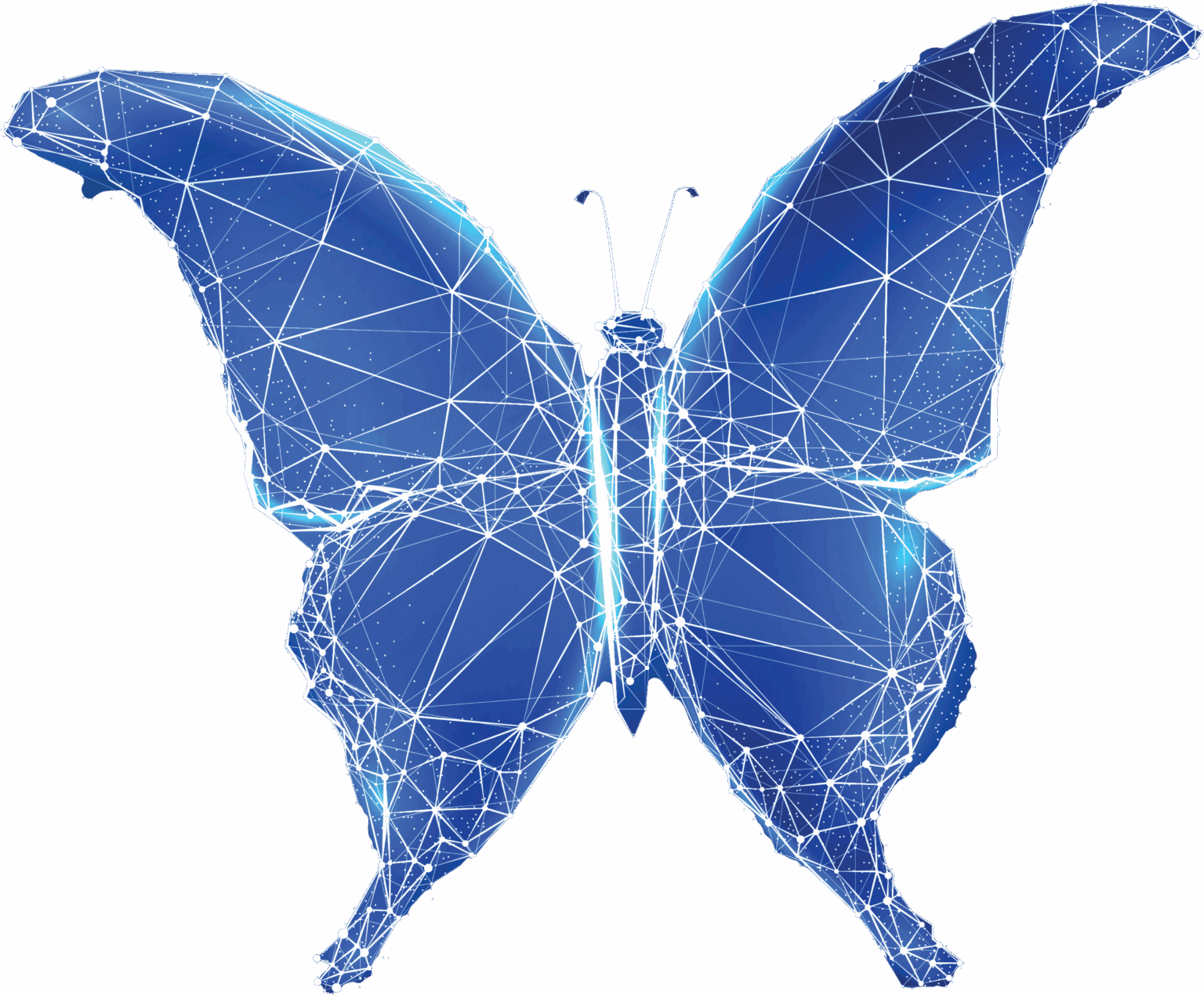 Affordable Salesforce Experts - Evolution CRM